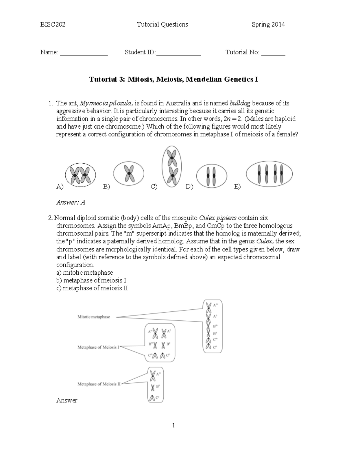 Quiz 3 2014, questions and answers - BISC202 Tutorial Questions Name ...