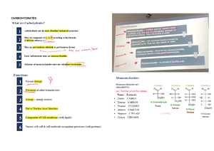Activity-9-G2 - laboratory report on biochemistry - SAN PEDRO COLLEGE MC-2 LABORATORY ACTIVITY 9 ...