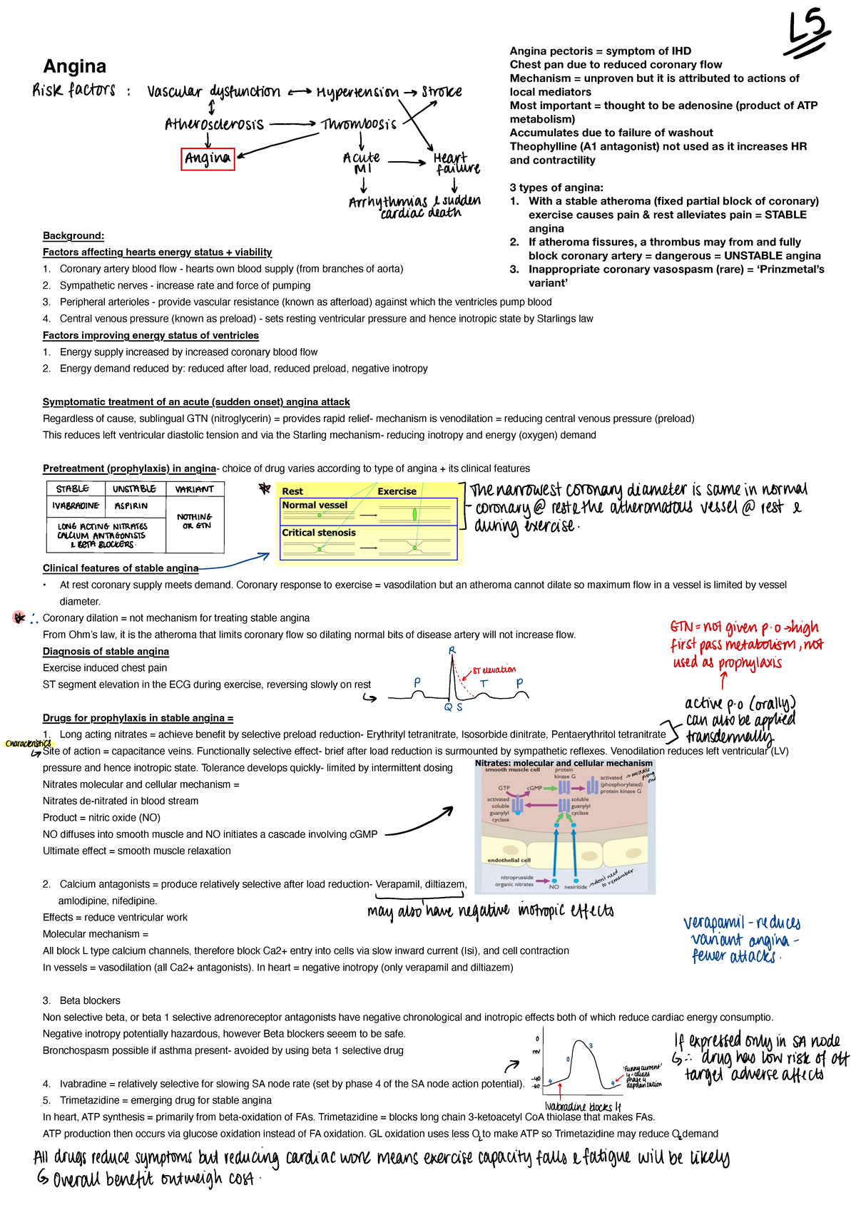Angina - Lecture notes - 5BBM0212 - Studocu