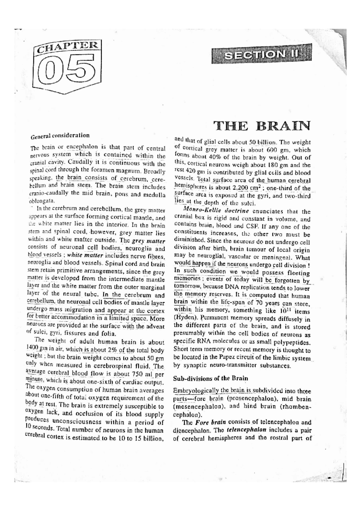 The Brain and Structure - Psychology - Studocu