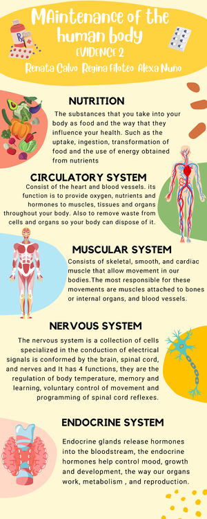 Activity 3 Human body care - Draw and label a diagram of the skin that ...