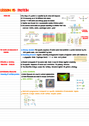 ENG 114 Lesson 22 - Gene Therapy - LESSON 22 : GENE THERAPY Change in ...