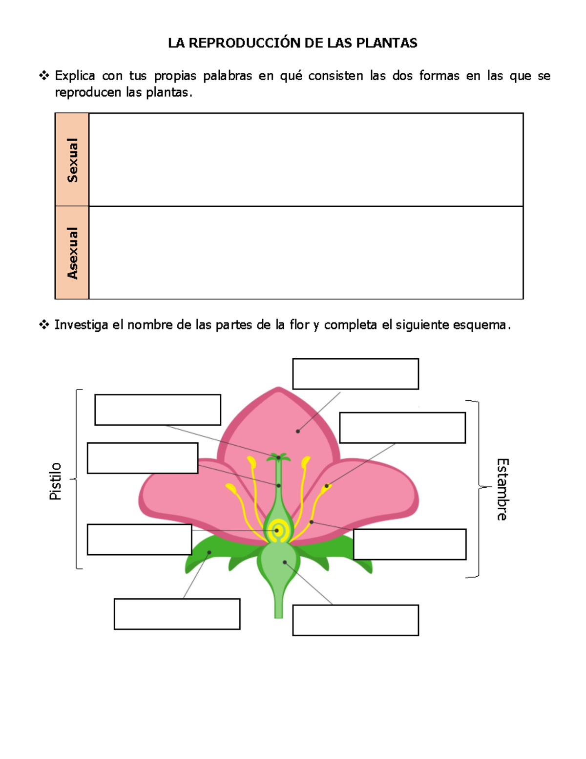 Tarea LA ReproduccióN DE LAS Plantas - Fisica, Quimica y Biologia ...