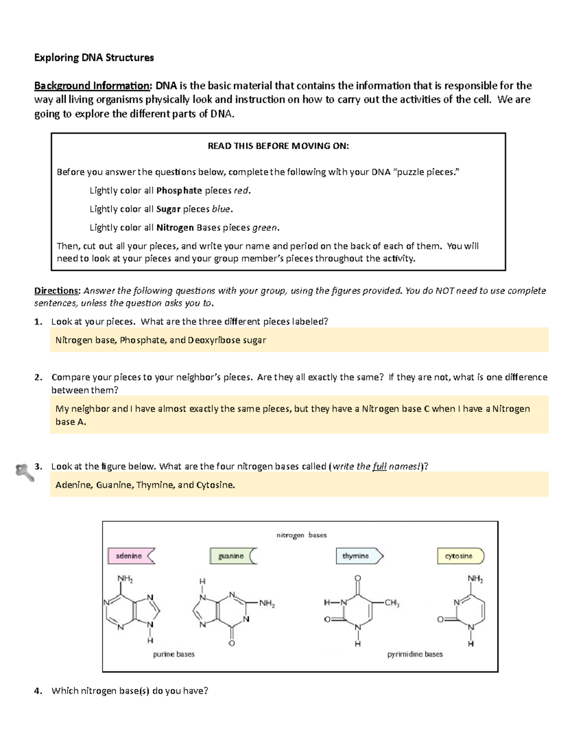 DNA Structure assignment for exploring DNA - Exploring DNA Structures ...