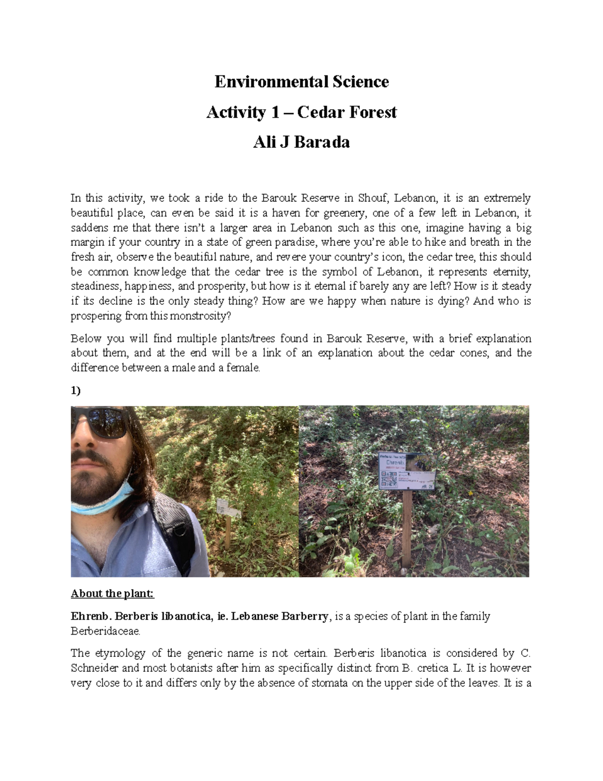 Activity 1 - Cedar Forest - Ali Barada 2016 00328 - Intro to ...