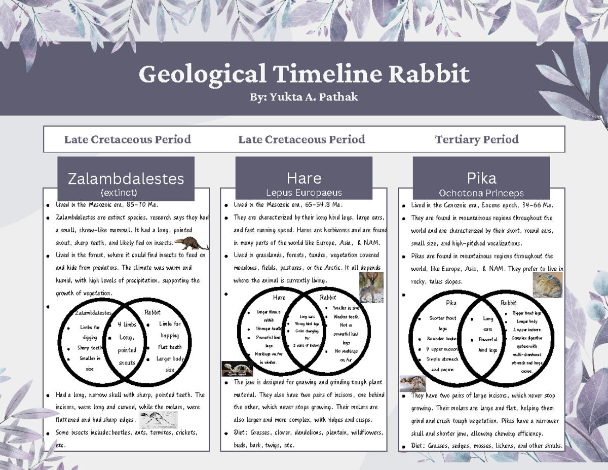 Geological Timeline Rabbit - Pathak Zalambdalestes Hare Pika Lived in ...
