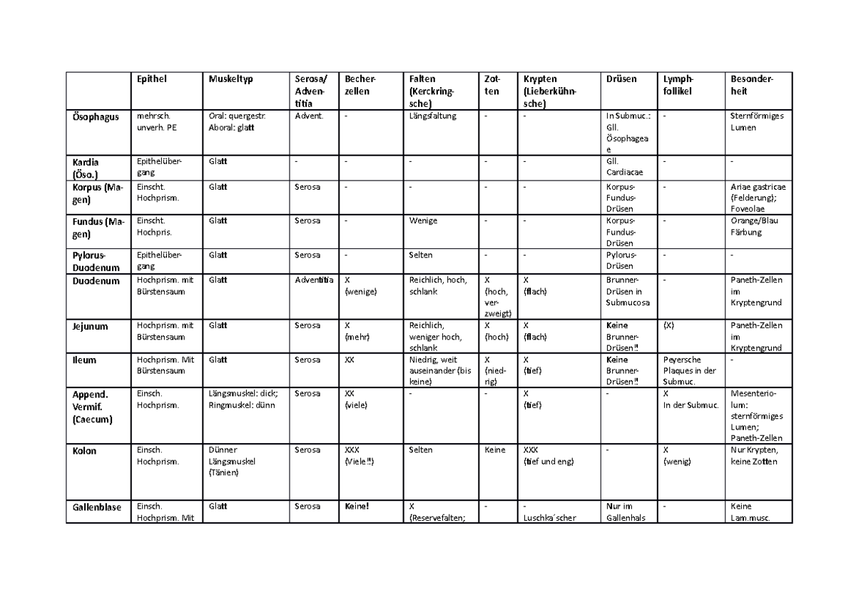 Magen-Darm-Trakt - Epithel Muskeltyp Adventitia Becherzellen Falten ...