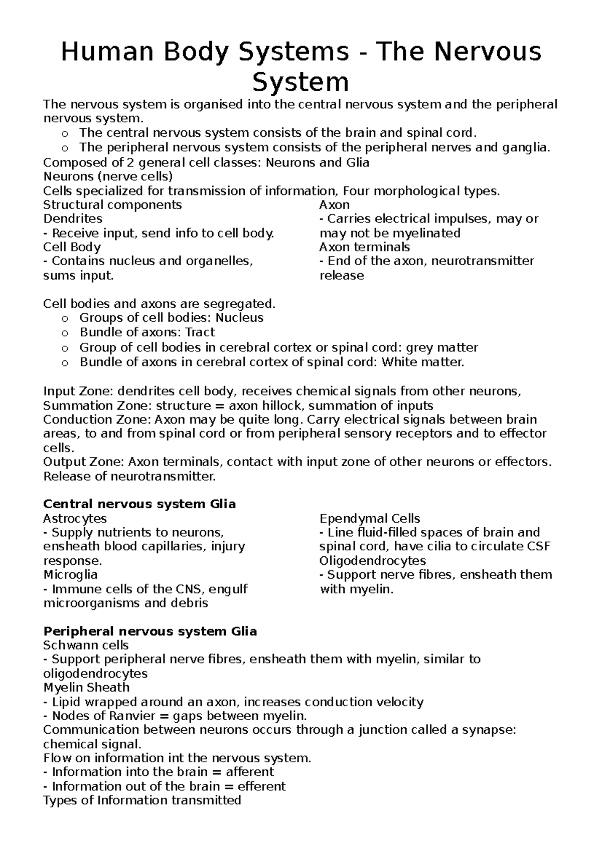 Human Body Systems Nervous system - Human Body Systems - The Nervous ...