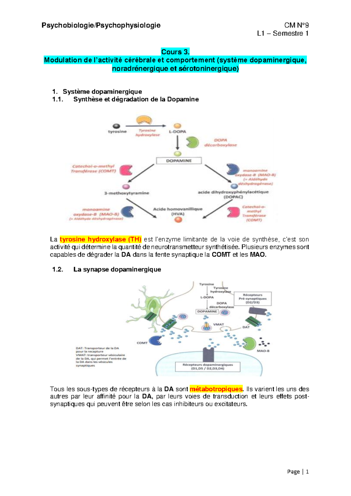 CM9 Psychobio - Licence 1 Psychologie - Warning: TT: undefined function: 32 L1 – Semestre 1 ...