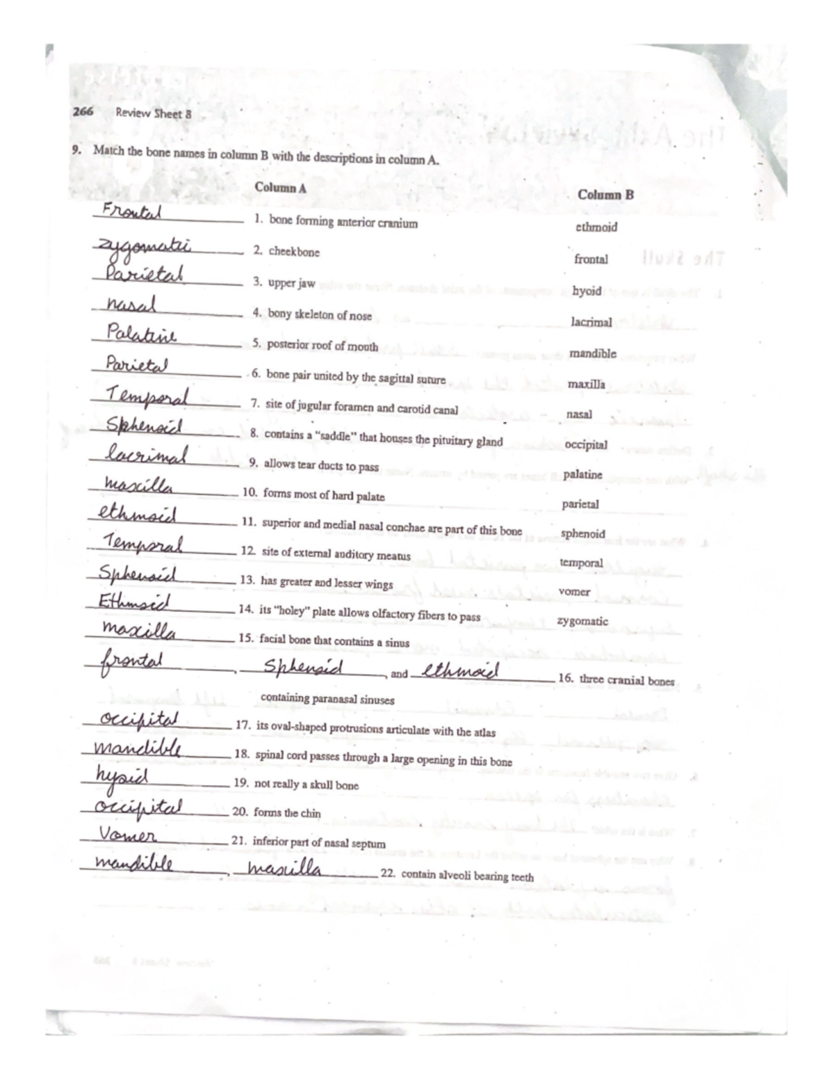 Review Sheet 8 - BIO 231 - Oakton - Studocu