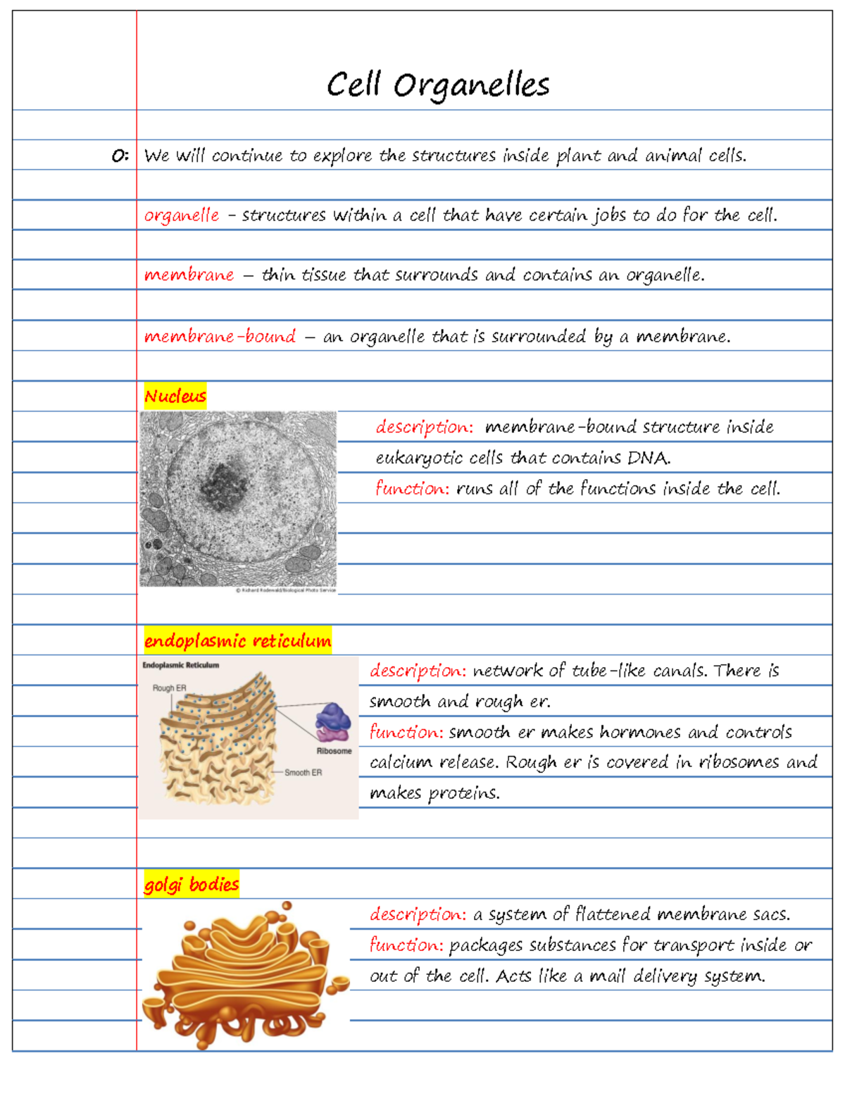 Cell Organelles Notes - Cell Organelles O: We will continue to explore ...