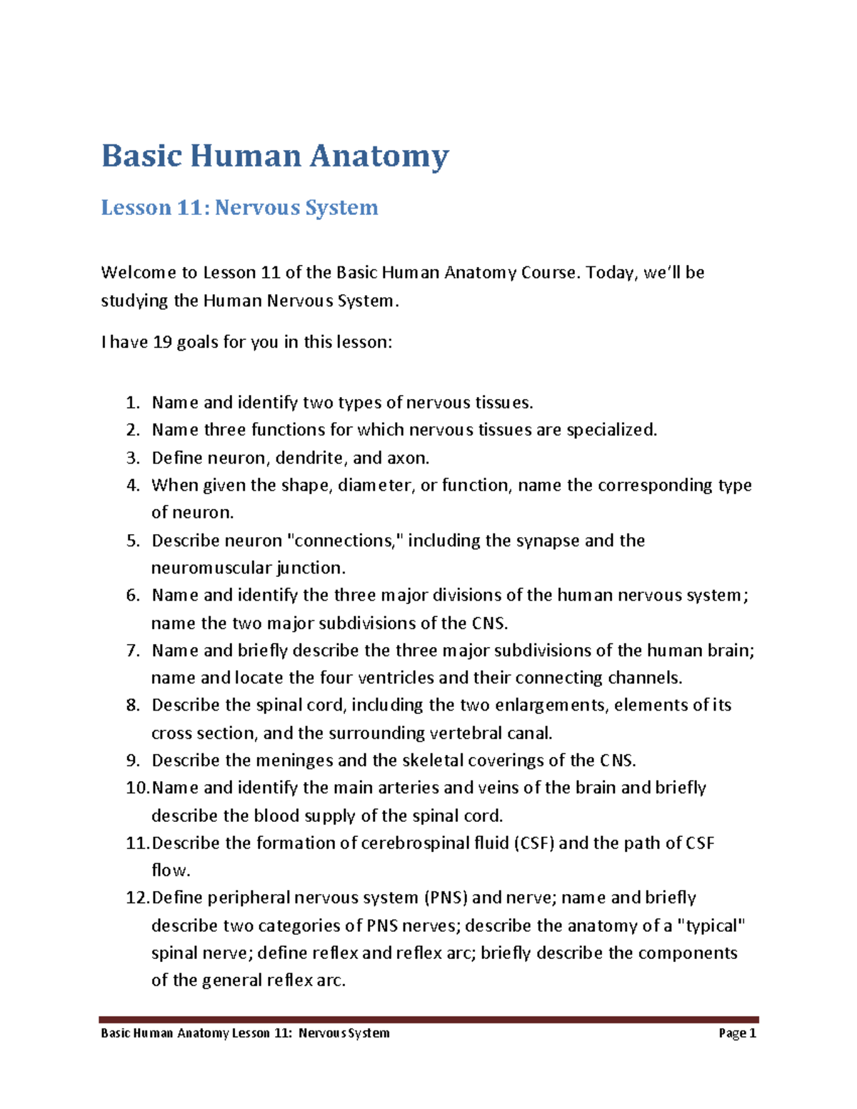 Anatomy 11 Lecture Notes - Basic Human Anatomy Lesson 11: Nervous ...