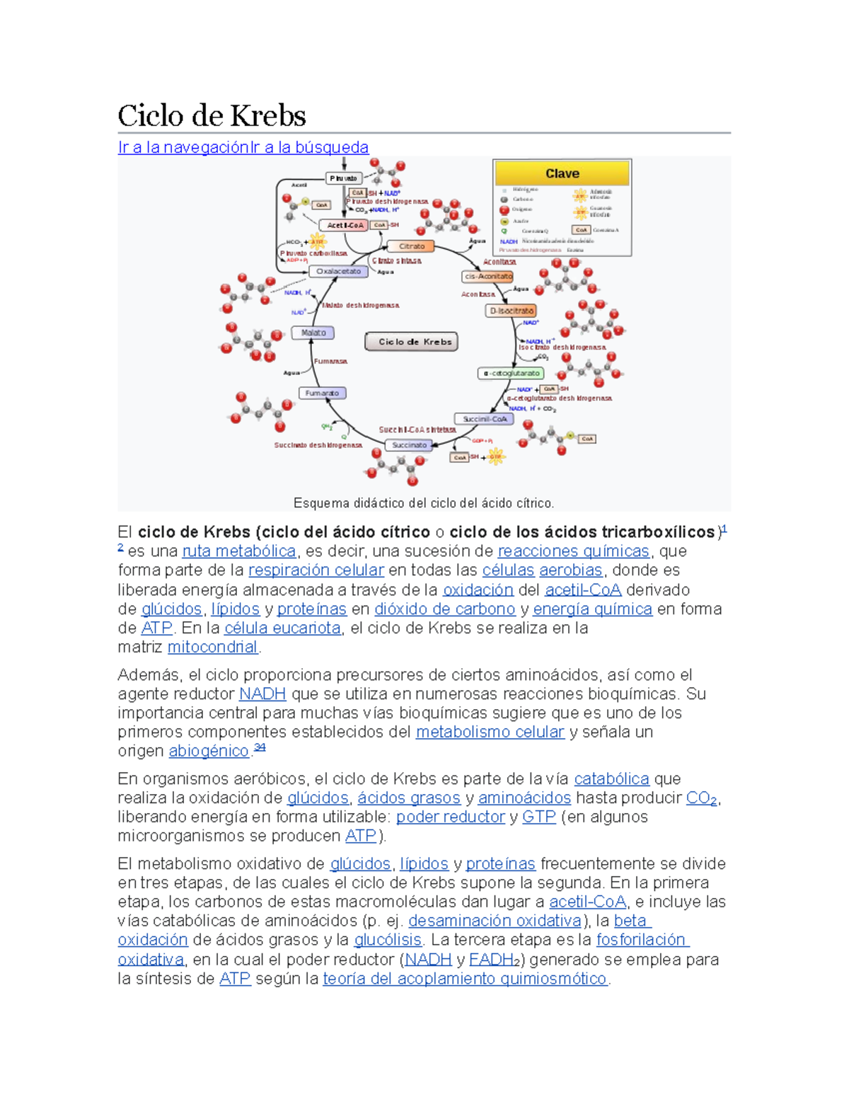 Ciclo de Krebs y descripción de los mecanismos - Bioquímica - UNAM - Studocu