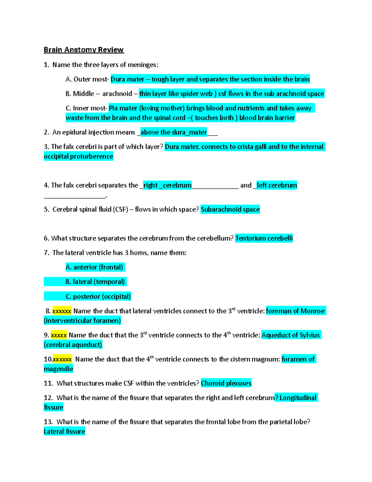Brain Anatomy Review sheet 1 - Brain Anatomy Review Name the three ...