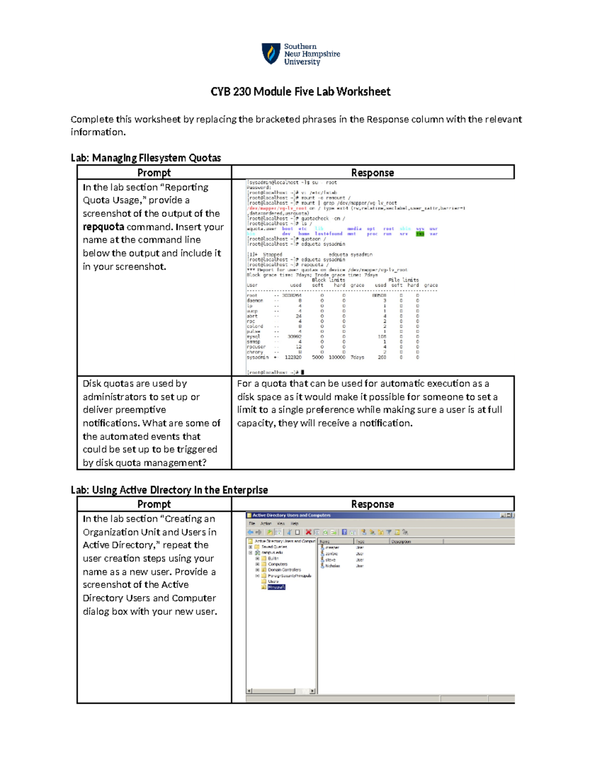 CYB 230 5-3 SNHU - CYB 230 Module Five Lab Worksheet Complete this ...