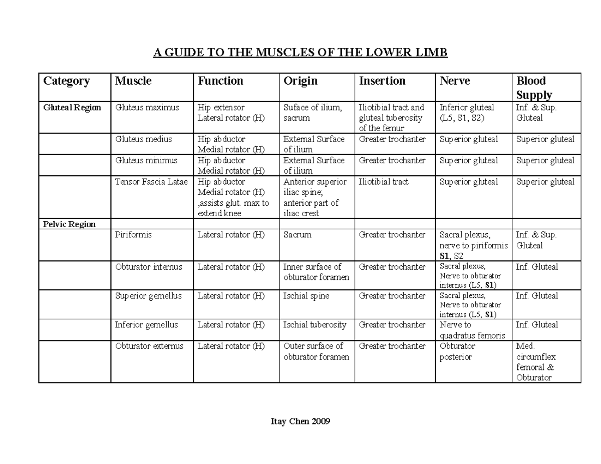 Table Of Lower Limb Muscles StuDocu