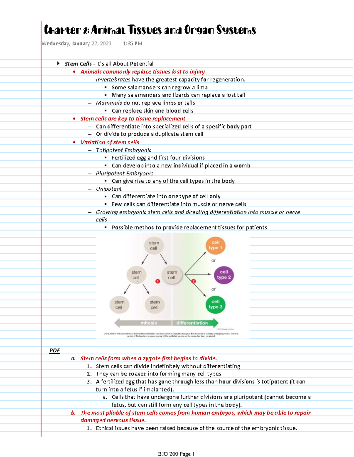 Chapter 2 Animal Tissues and Organ Systems - – Some salamanders can ...