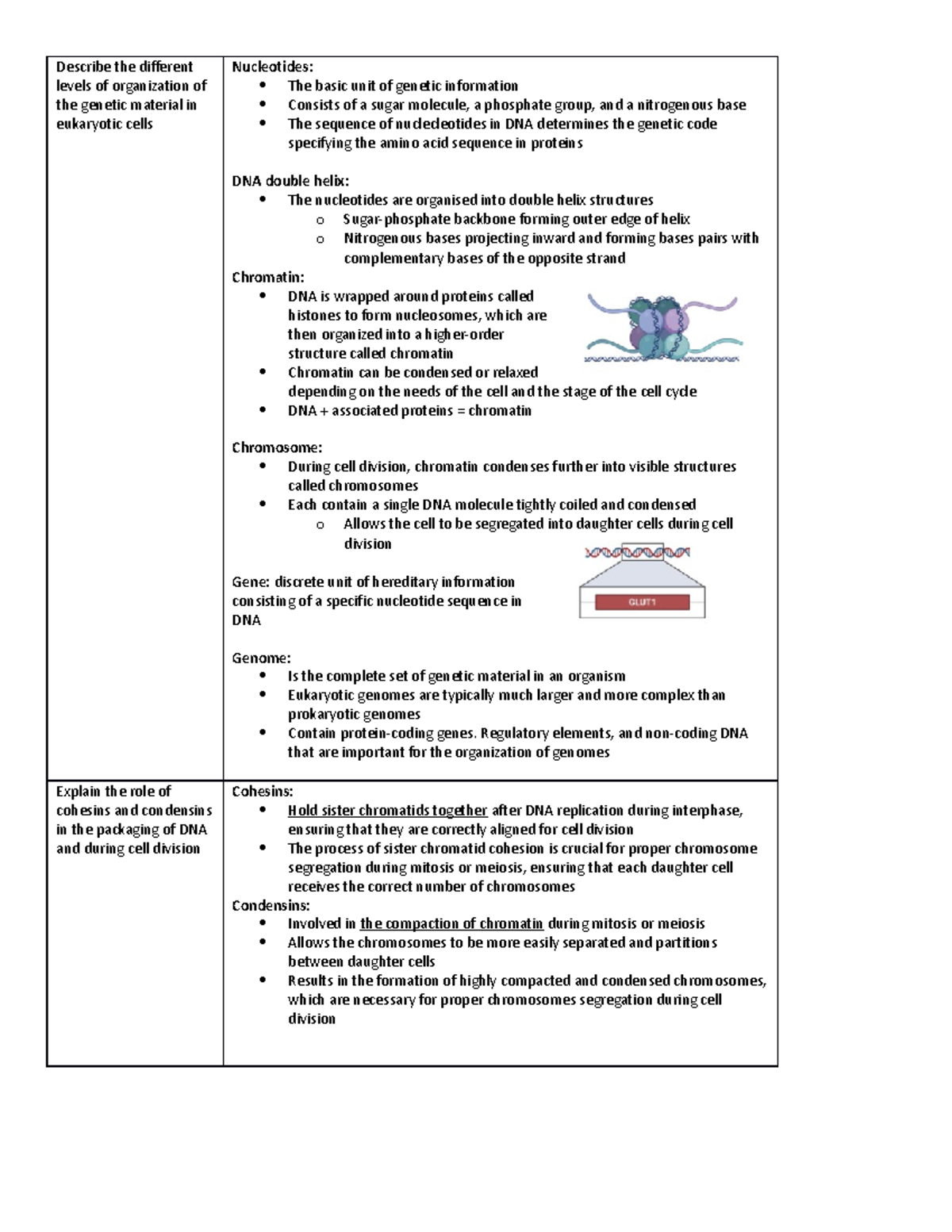 Module 6- cell cycle - Summary Introduction to Cell Biology - Describe ...