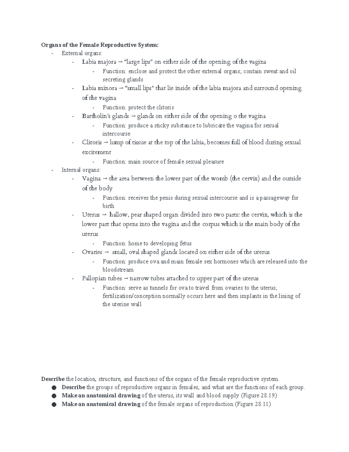 Female Reproductive System - Describe the groups of reproductive organs ...