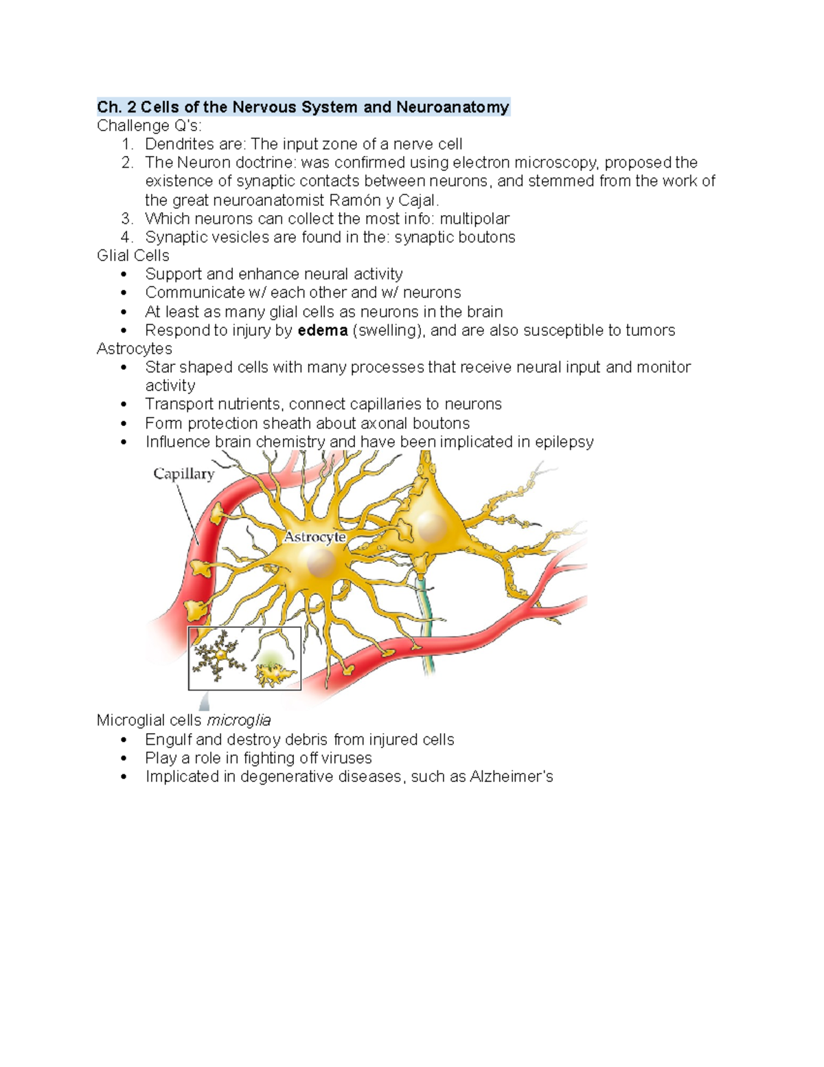 Ch. 2 Cells of the Nervous System and Neuroanatomy - Ch. 2 Cells of the ...