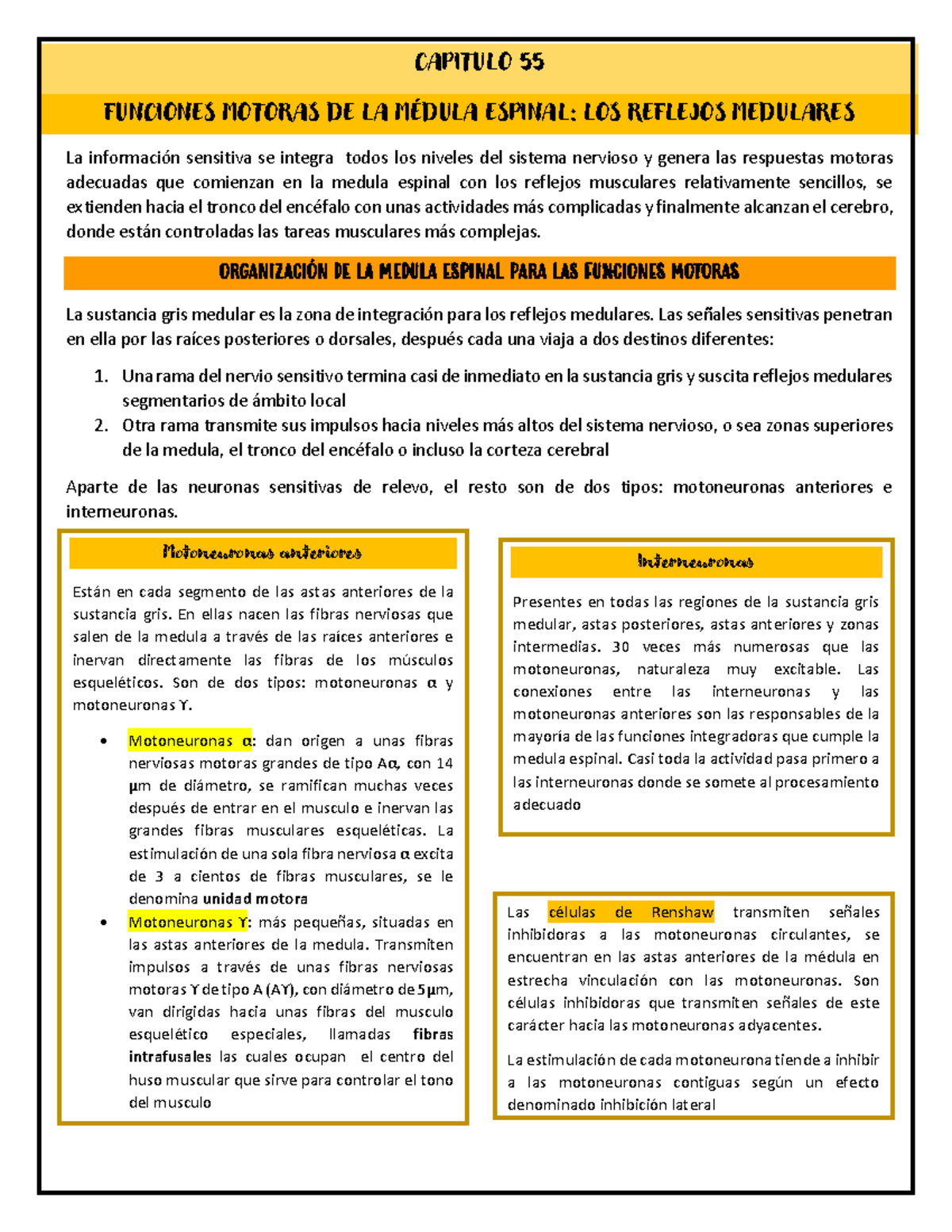 Capitulo 55 funciones motoras de la medula espinal - CAPITULO 55 FUNCIONES MOTORAS DE LA MÉDULA ...