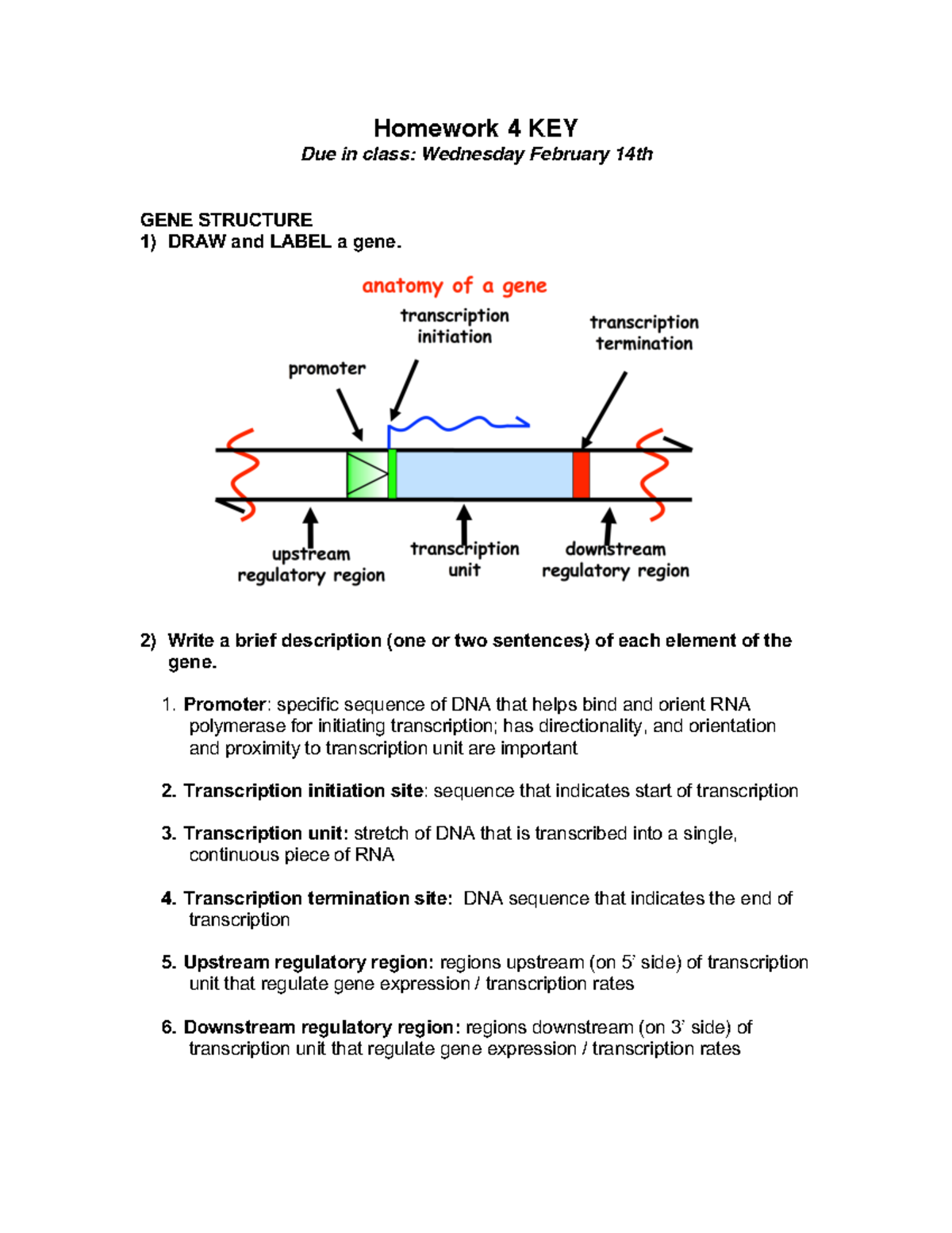 HW4KEY - Biol275: Cell and Molecular Biology with Dr. Porter - Homework ...