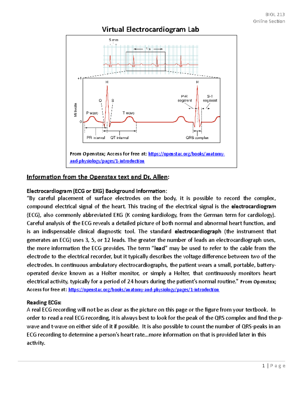 Virtual Electrocardiogram Lab Activity - Online Section Virtual ...