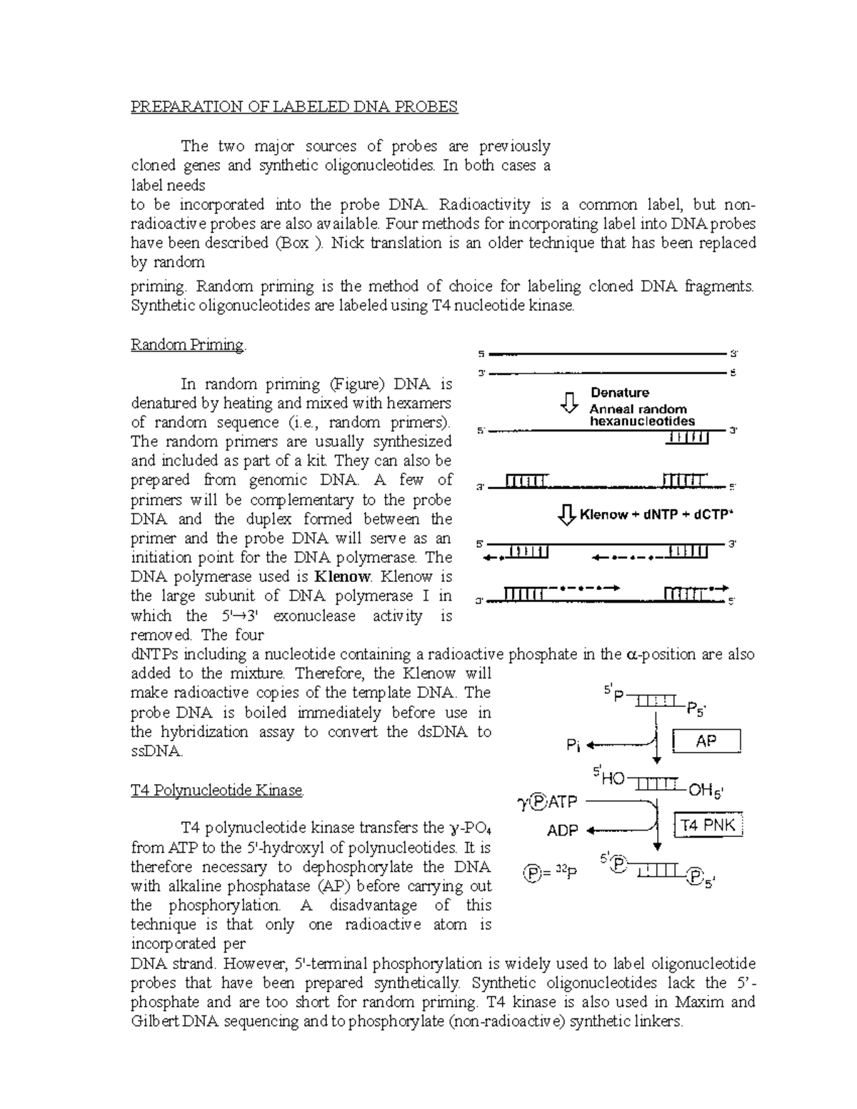 Preparation OF Labeled DNA Probes - PREPARATION OF LABELED DNA PROBES ...