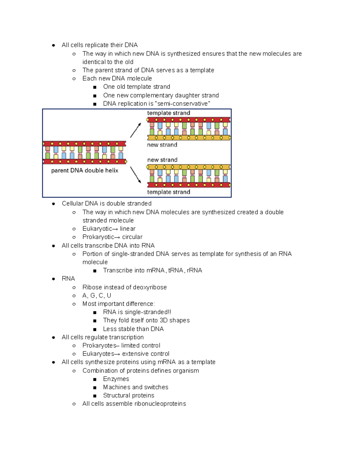 Cell Bio Power Point Part 2 - All cells replicate their DNA The way in ...