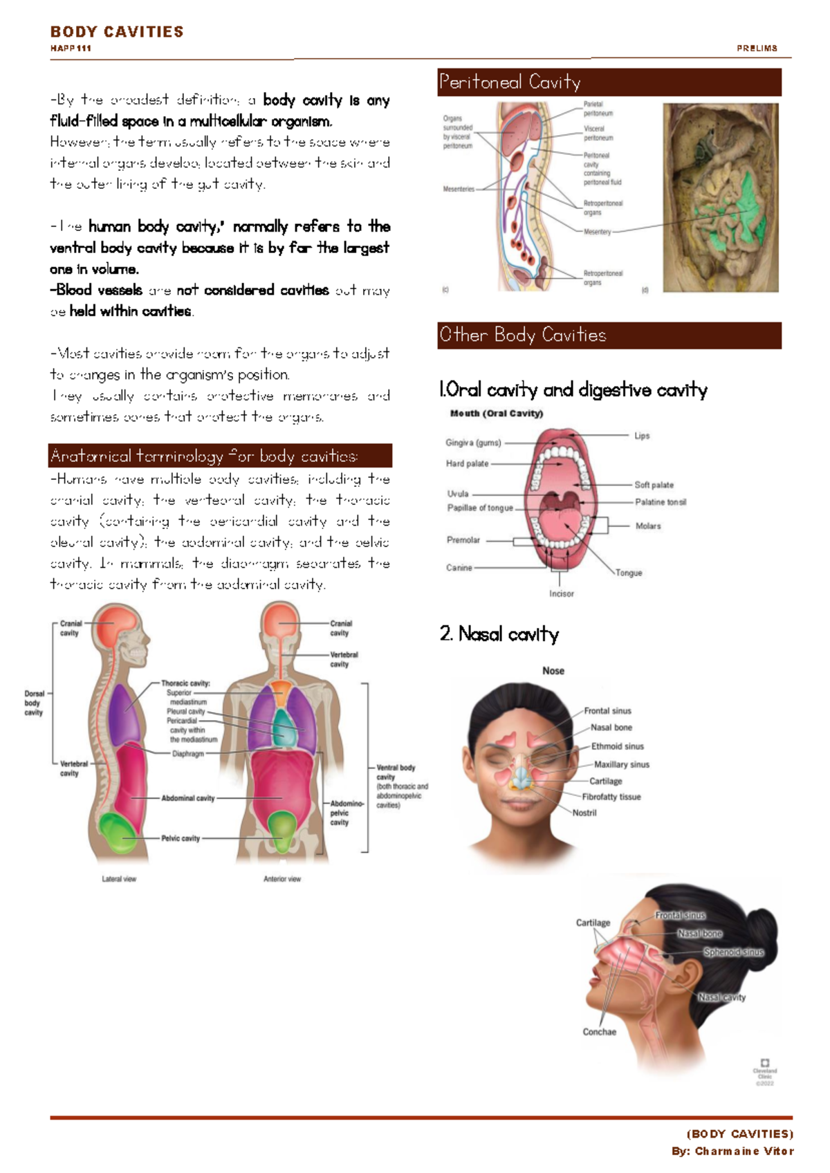 BODY Cavities - human anatomy and physiology - BODY CAVITIES HAPP111 ...