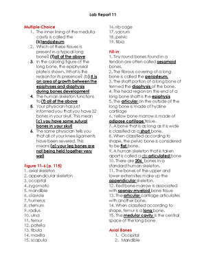 Introduction to Anatomy & Physiology - HUMAN ANATOMY AND PHYSIOLOGY ...