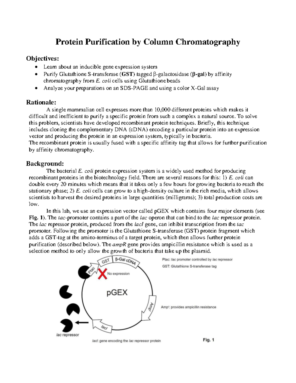 LAB 10 Protein Purification Manual - Protein Purification by Column ...