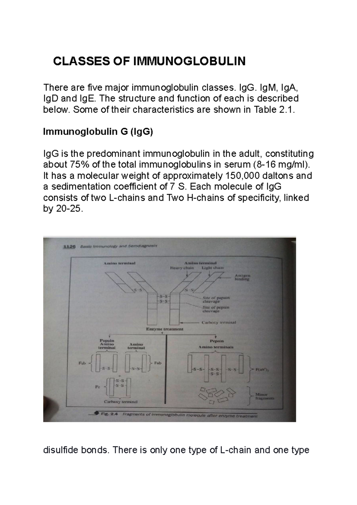 Classes OF Immunoglobulin - CLASSES OF IMMUNOGLOBULIN There are five ...