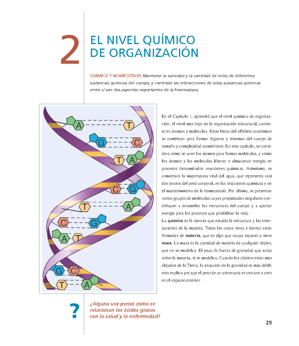 Nivel de Org. Quimico. tortora - En el Capítulo 1, aprendió que el ...