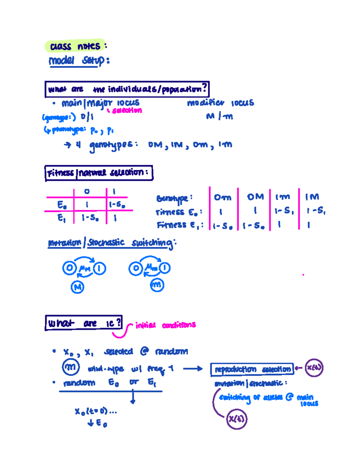 Paper 1 Mutation Rates Summary 1 Class Notes Model Setup What Are
