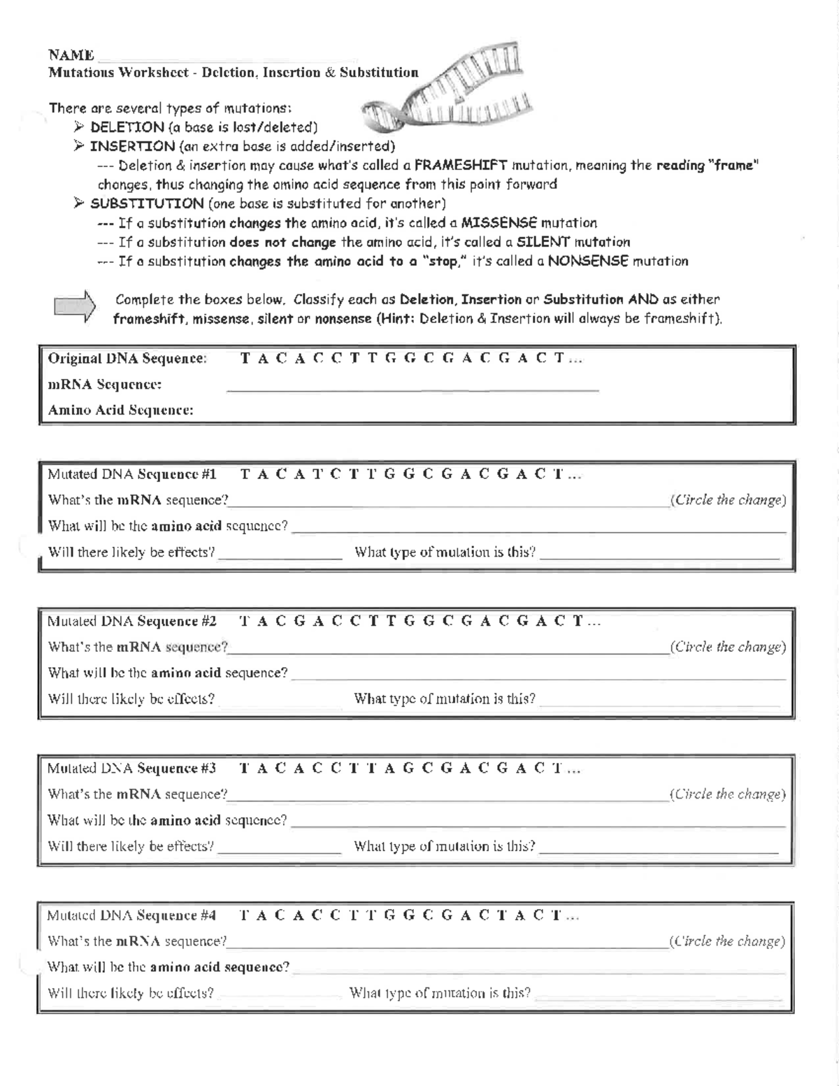 Kami Export - Dylan Echeverria-Lara - mutations worksheet-sickle cell ...