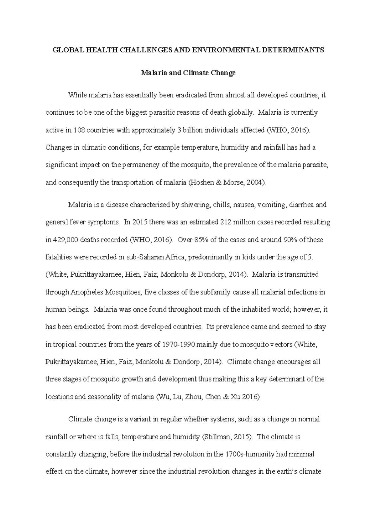 1205MED Essay Example #01 (Georgia Adams) - GLOBAL HEALTH CHALLENGES ...