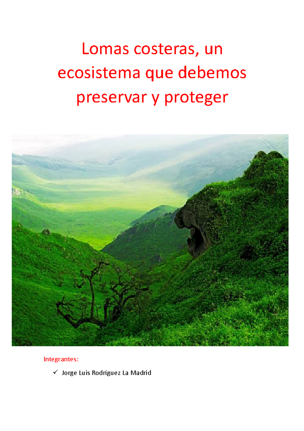 Portafolio Final Jorge Luis Rodríguez La Madrid - Lomas costeras, un ...