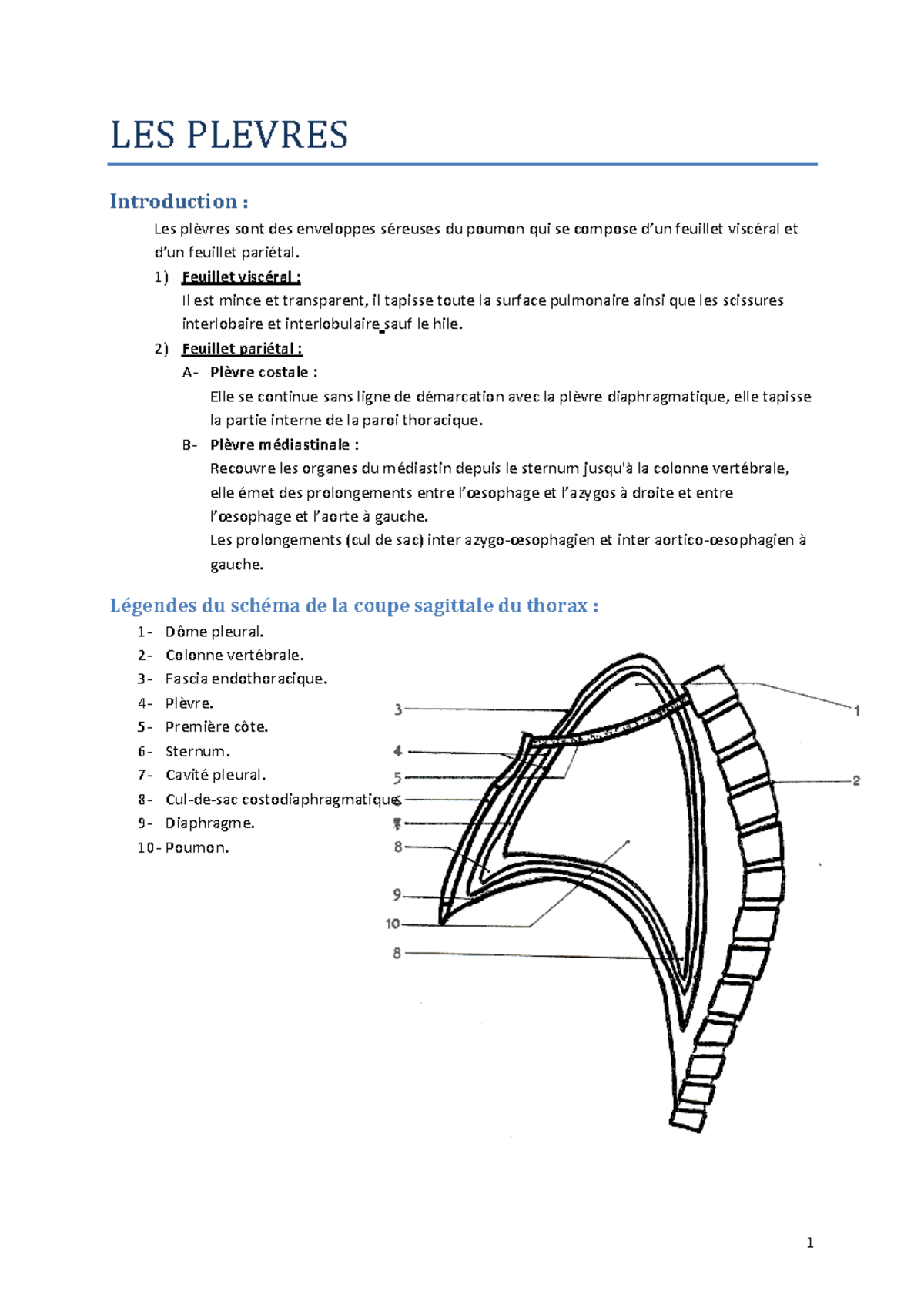 anatomie des plèvres - 1 LES PLEVRES Introduction : Les plèvres sont ...