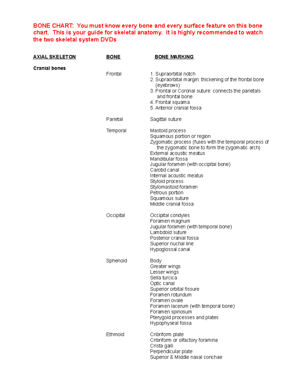 Bone Chart word - BONE CHART: You must know every bone and every ...