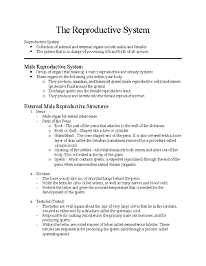 Grade 10 Science Summary Notes: Plate Tectonics - Plate Tectonics Plate ...