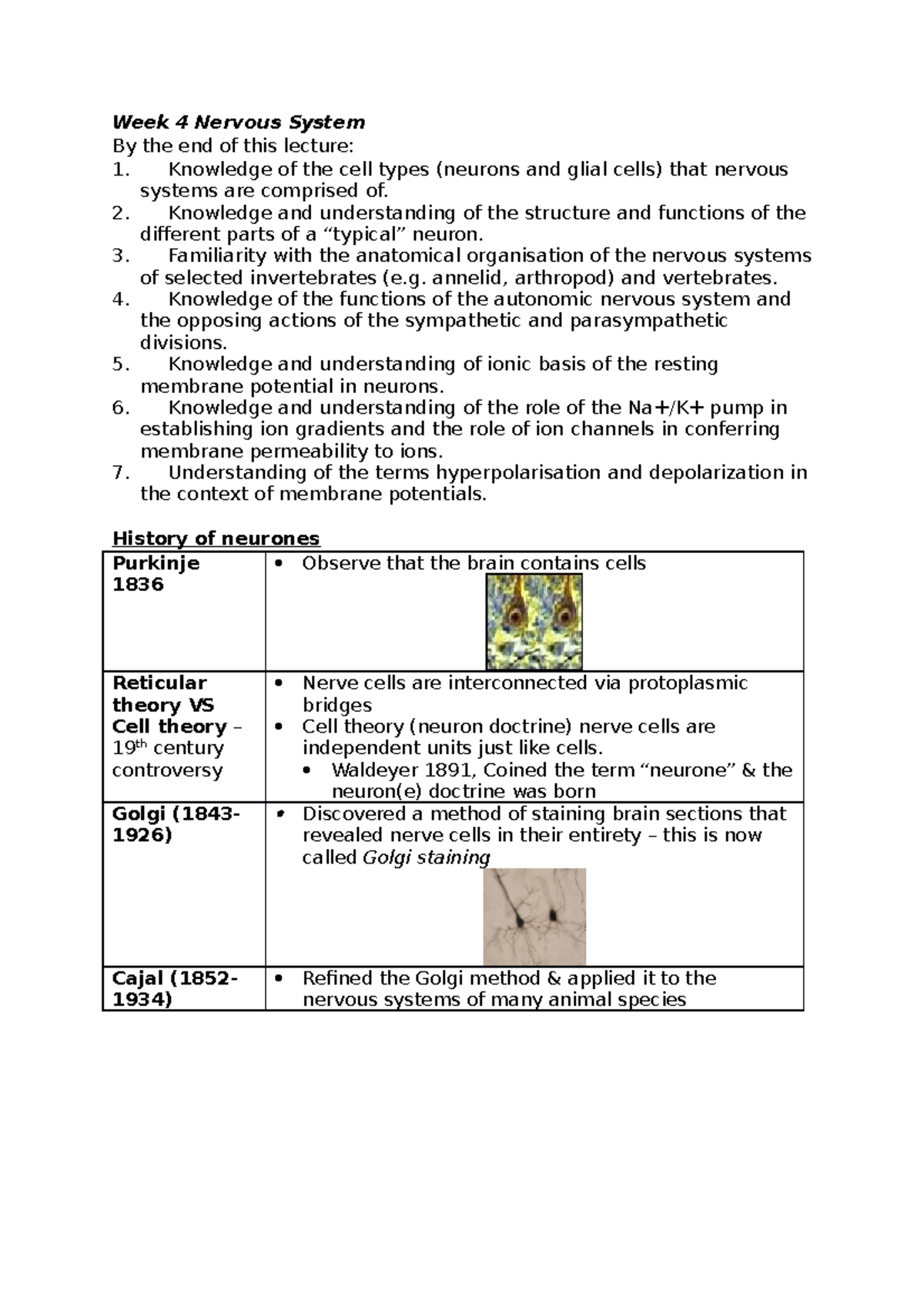 Week 4 Nervous system - Week 4 Nervous System By the end of this ...