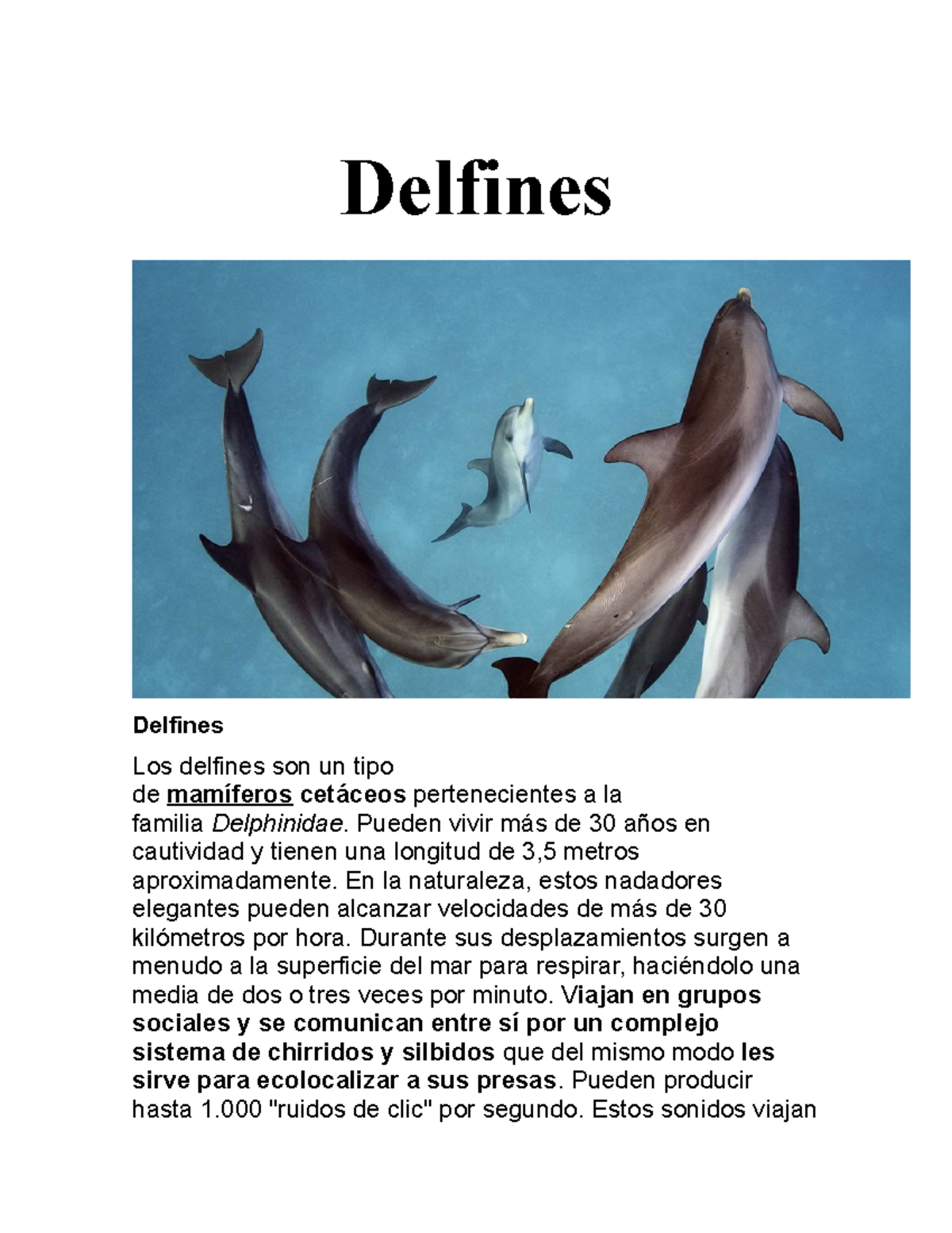 Los delfínes - APUNTES - Delfines Delfines Los delfines son un tipo de ...