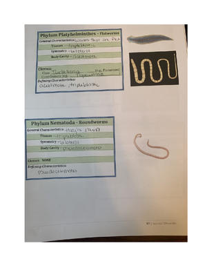 Sheep Eye Dissection Study Guide with Answers - Sheep Eye Dissection ...