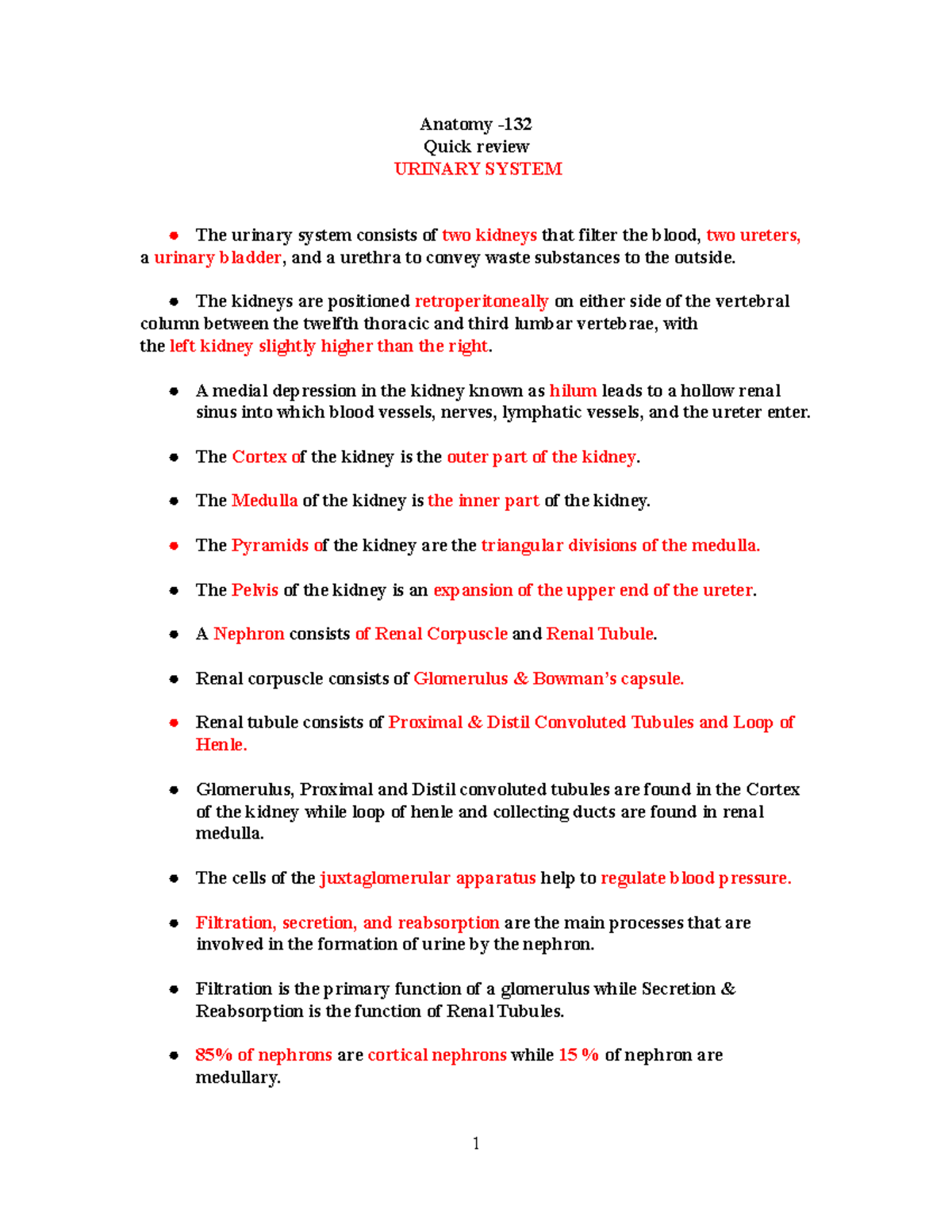 Anatomy-32 Quick Review Urinary System - Anatomy - Quick review URINARY ...