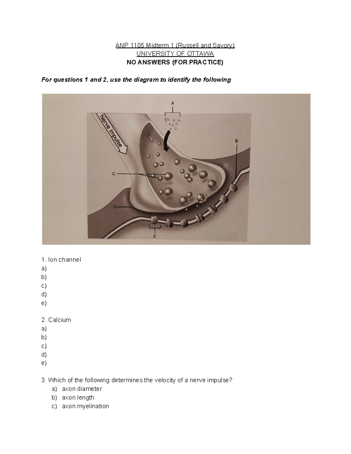ANP 1105 Midterm 1 (Russell and Savory) October 2019, questions and ...