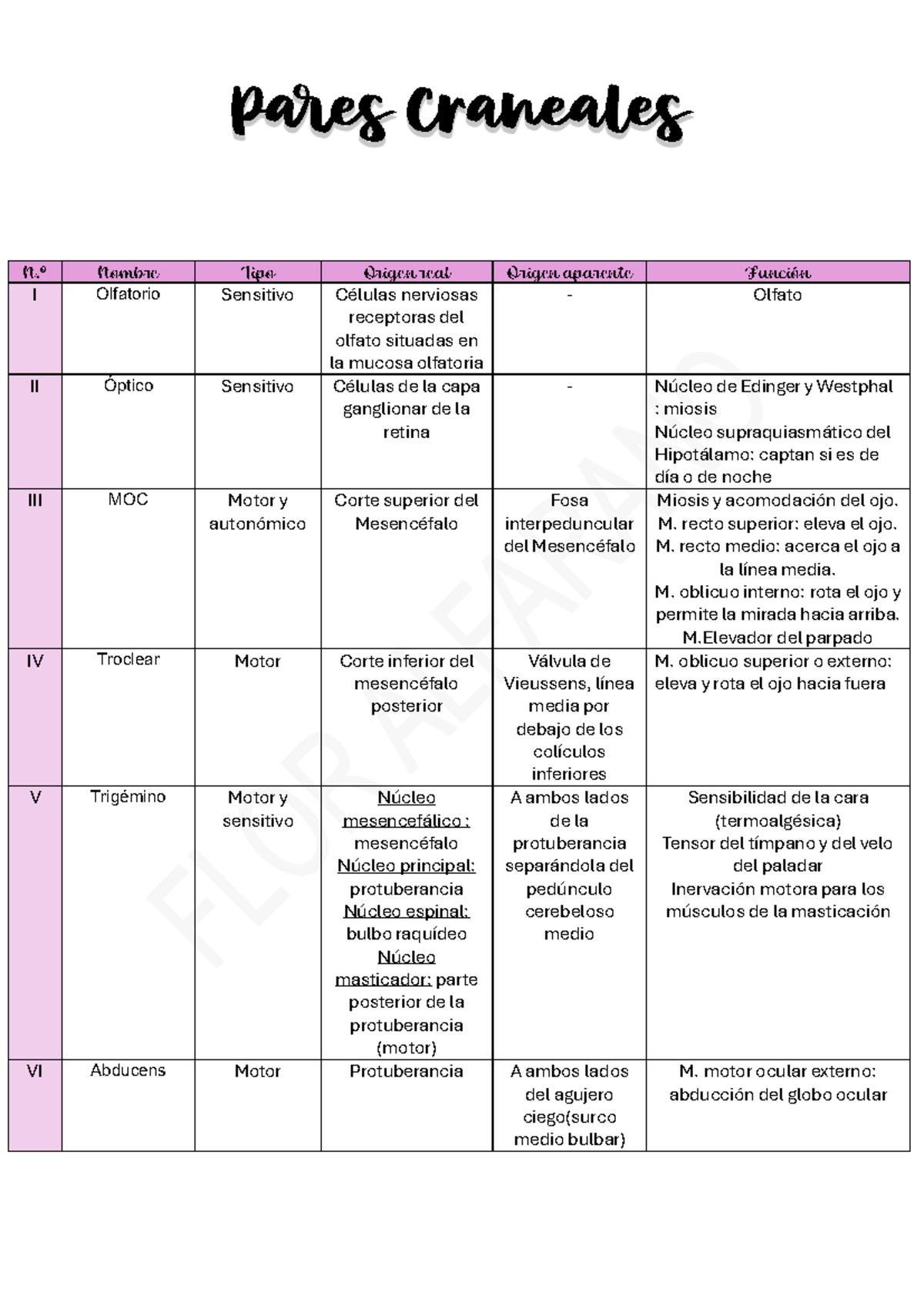 Cuadro Pares Craneales - N.º Nombre Tipo Origen real Origen aparente Función I Olfatorio ...