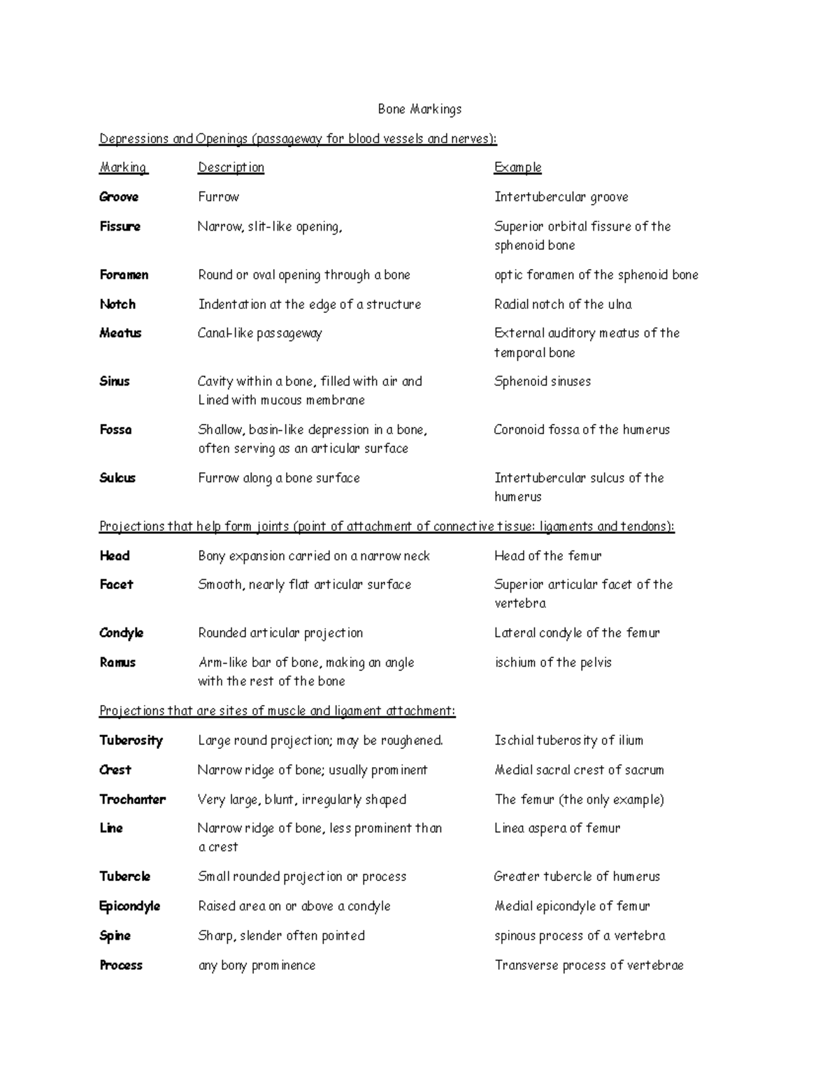 Bone Markings Compton - Bone Markings Depressions and Openings ...