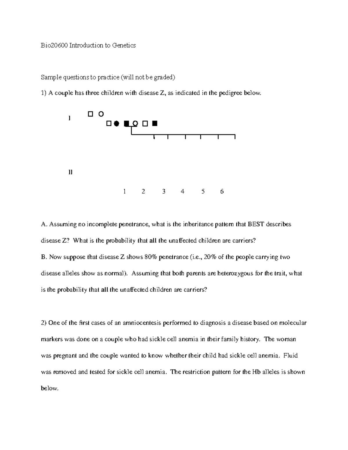 Sample Questions to Final - Bio20600 Introduction to Genetics Sample ...
