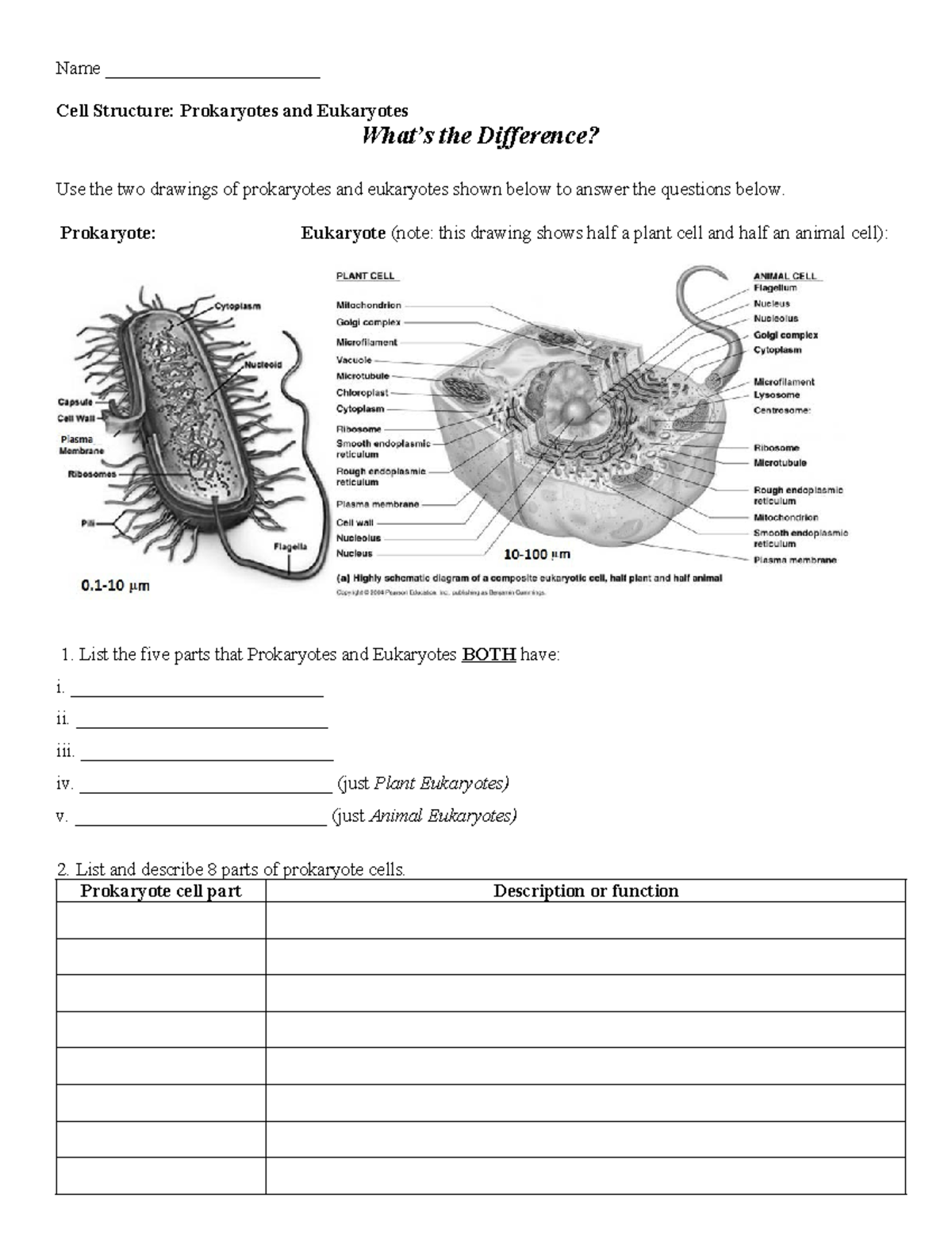 Prokaryotic vs Eukaryotic Cells classroom worksheet - Name ...